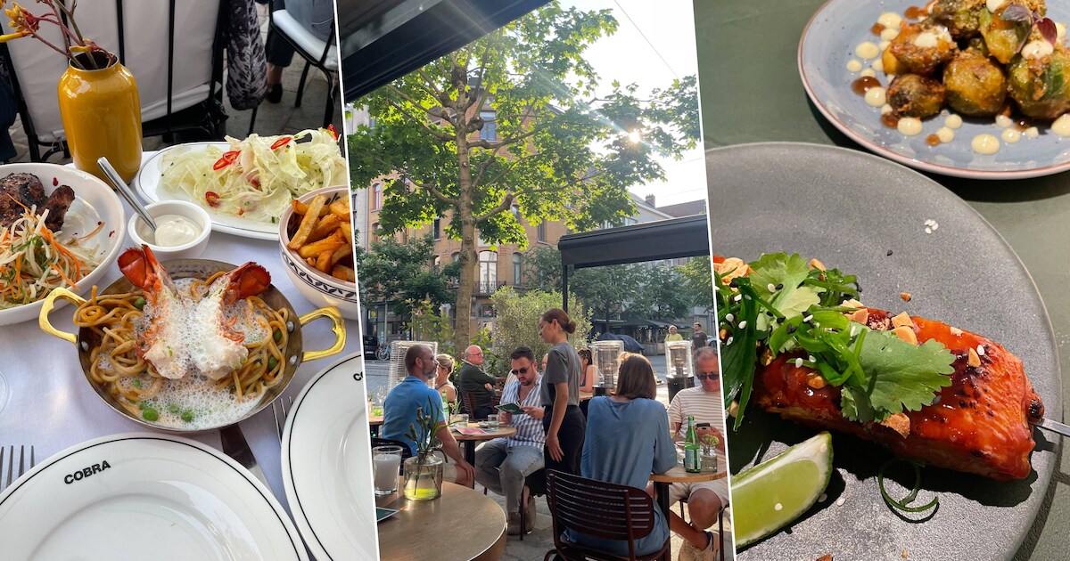 ‘Sharing is caring’: deze zes foodsharingadresjes in Antwerpen moet je geprobeerd hebben ...