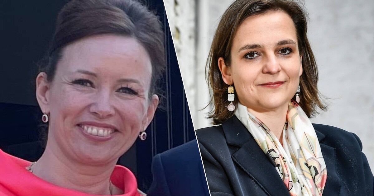 Gewezen voorzitter Vlaams Belang haalt op sociale media uit naar ...