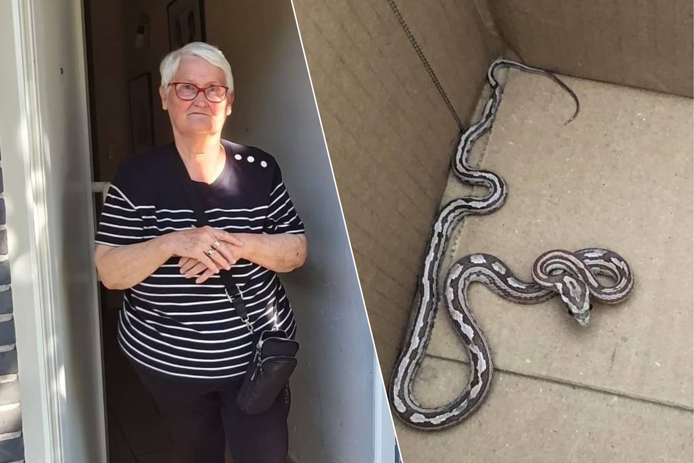 Van Gaëlle’s ongeluk tot het afscheid van Seppe: dit raakte de ...