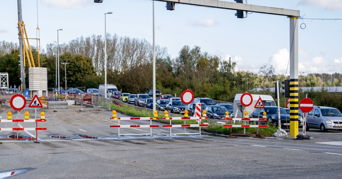 Te veel file op Scheldebrug: aanpassing voor verkeerslichten aan ...