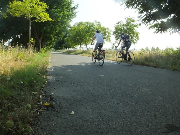 Lievegem buigt zich over verlichting langs jaagpad Brugse Vaart: “Lijkt ...
