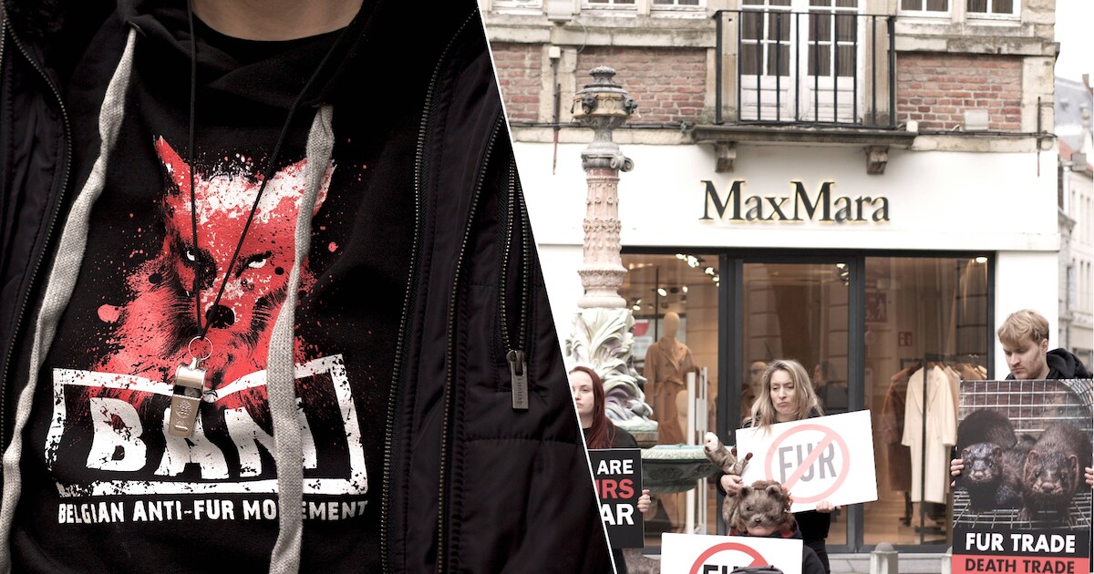 Belgian Anti-fur Movement protesteert in Gent tegen Max Mara: “Ze ...