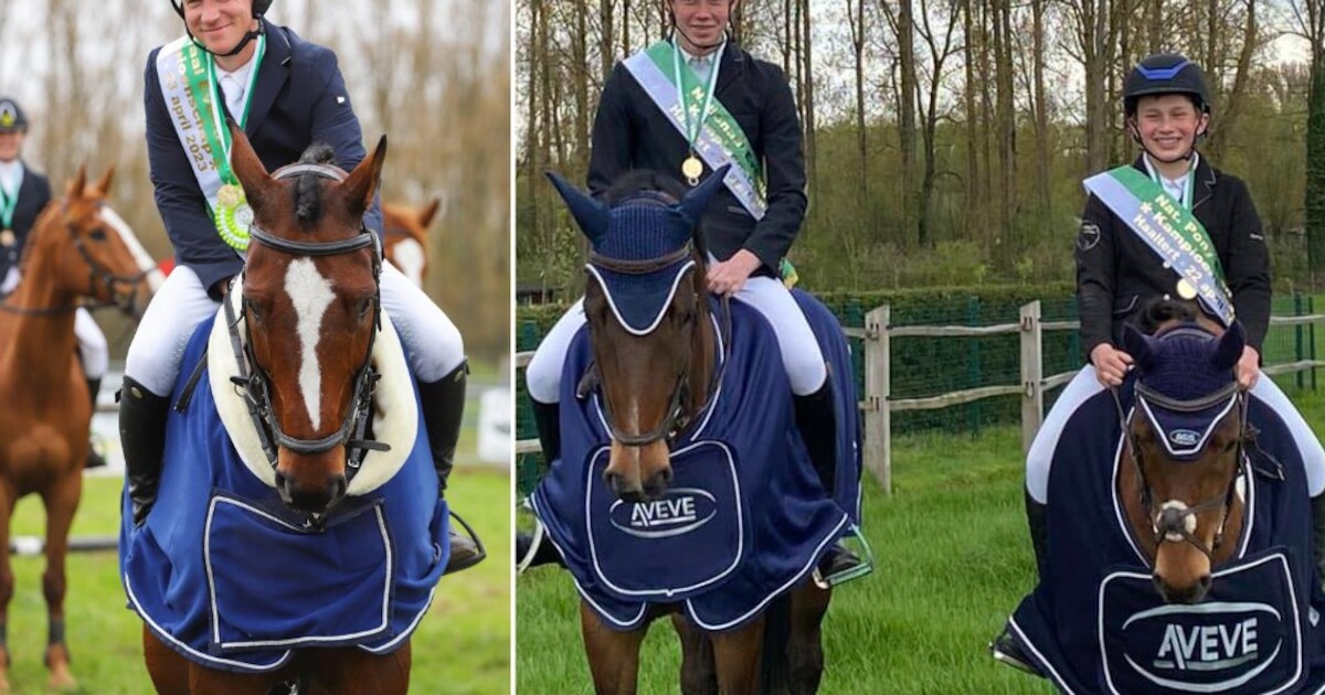 Goud voor ‘eventing’-ruiter Stefaan De Pauw, ook goud voor broers Niels ...