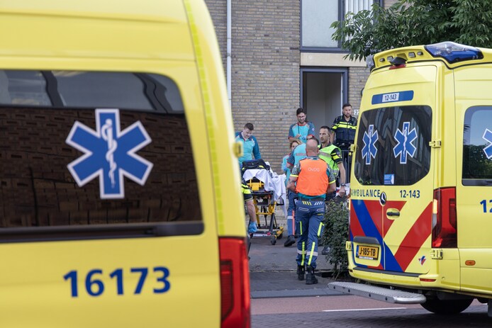 2 doden bij steekpartij in Hoofddorp in Nederland, ook twee agenten ...