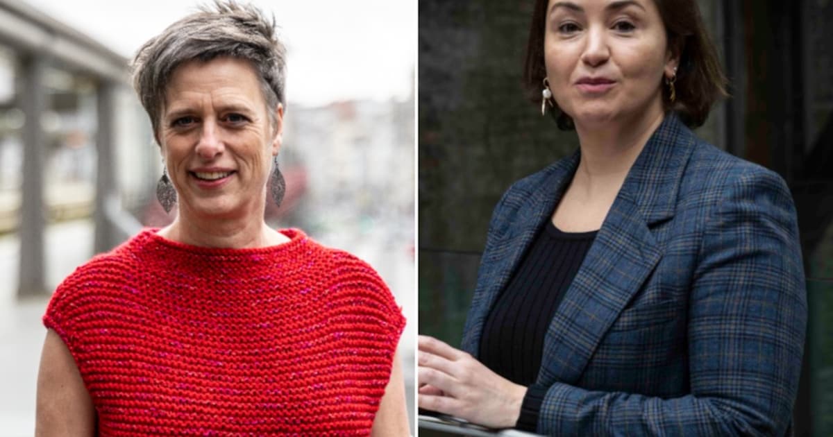 Ontslag stadsdichters blijft heet hangijzer tijdens Antwerpse ...