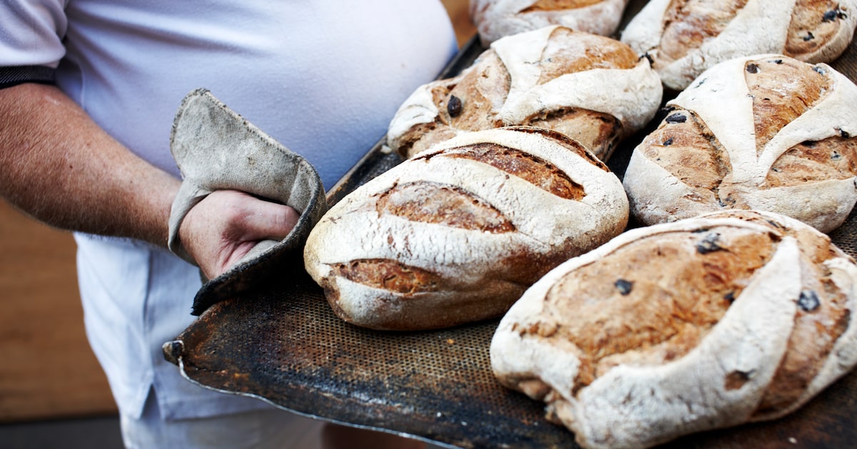 Werkneemster (55) van bakkerij in De Haan riskeert celstraf voor ...