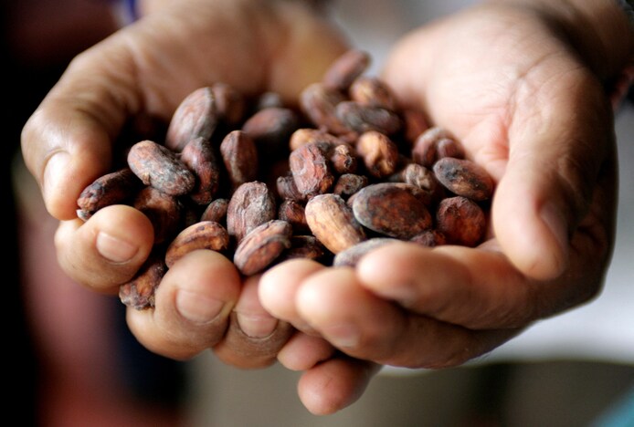 Cacao duurder dan koper | Economie | hln.be