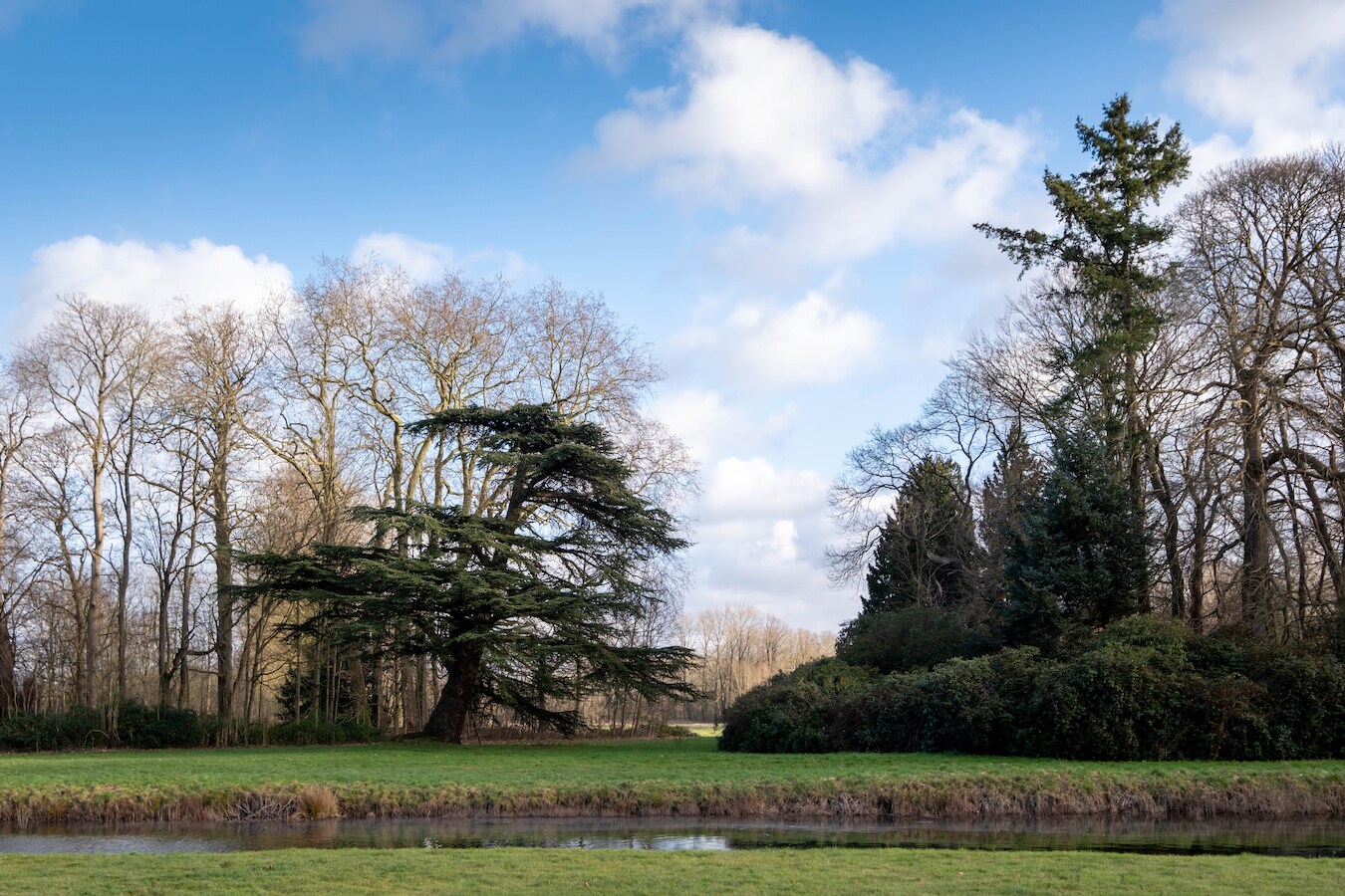 REPORTAGE. In kasteeldomein Hof te Melis houdt Patrick (59) de boel ...