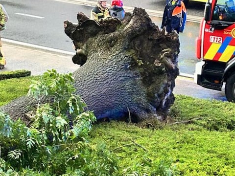 Zwaar onweer bereikt Gent: brandweer al twintig keer opgeroepen, geen ...