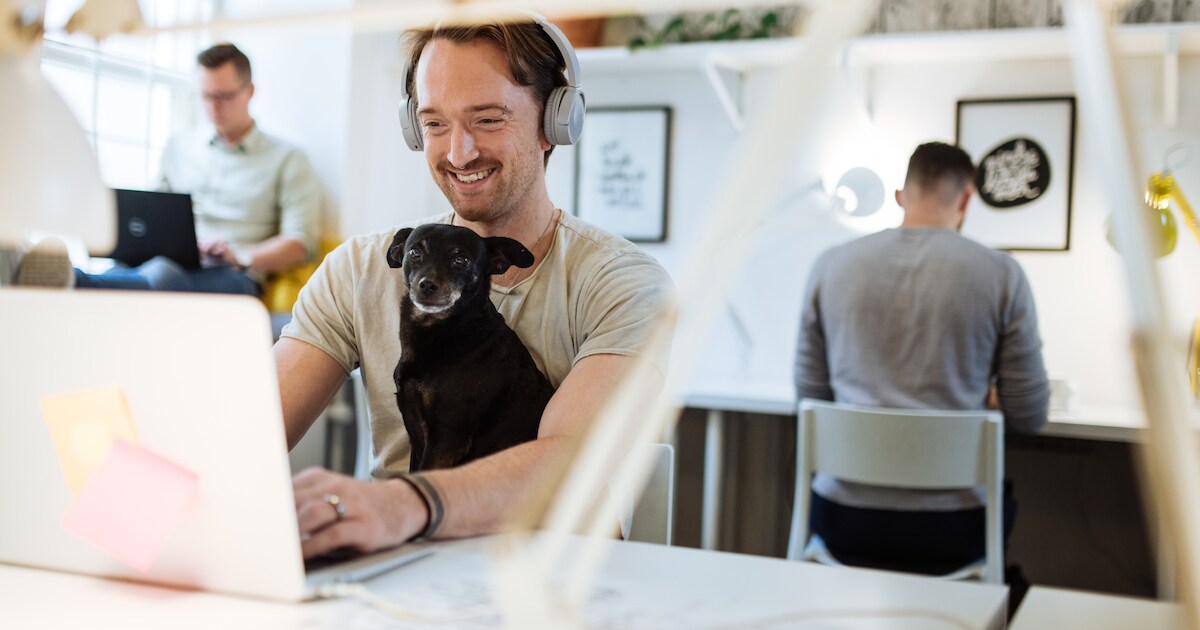 Een blaffend succes? Personeel Europese Commissie gefrustreerd op ...