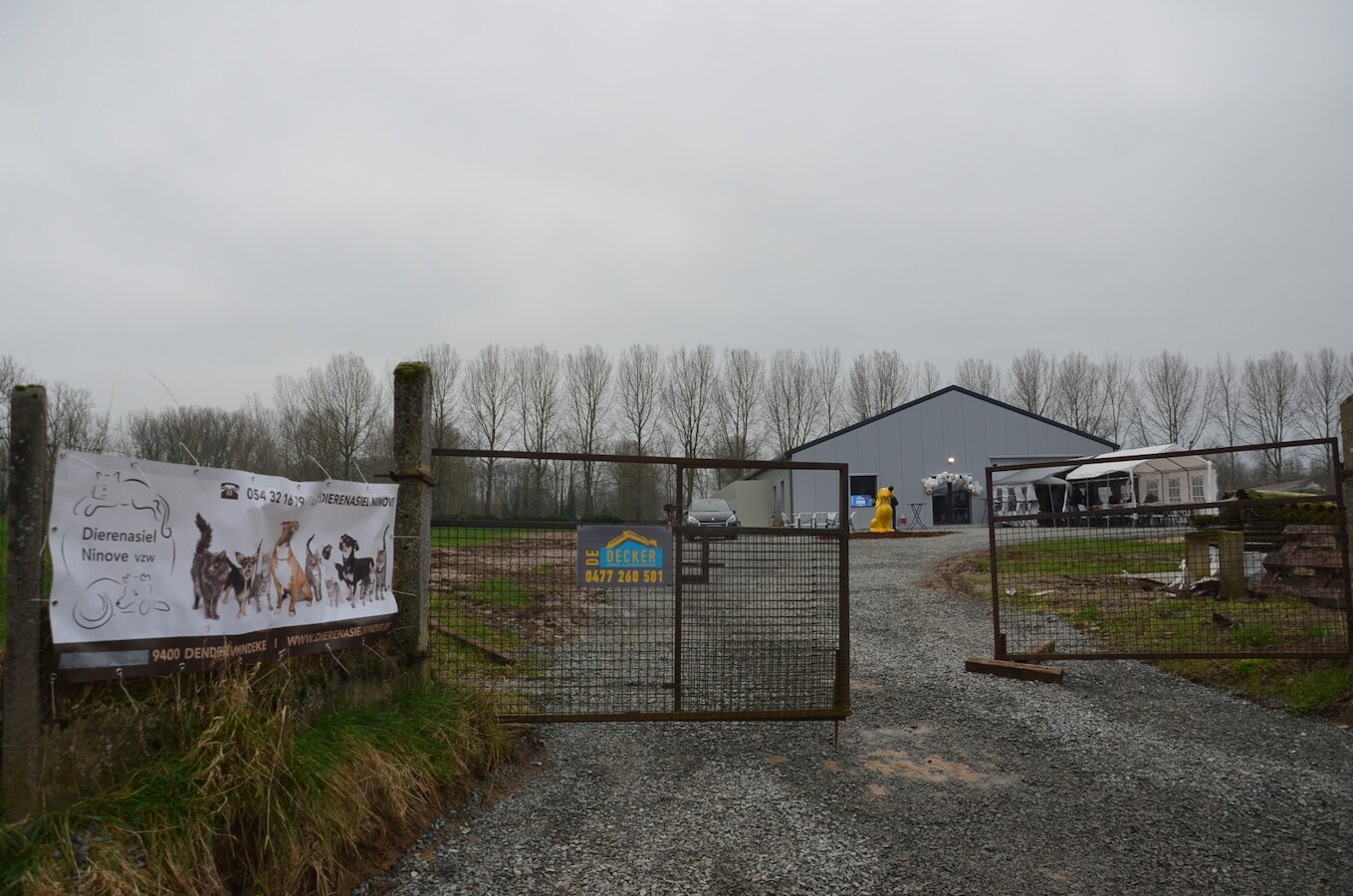 Dierenasiel Ninove gaat officieel van start op nieuwe locatie: “Dat vele mensen kijkje kwamen ...