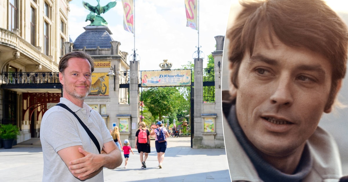 OPROEP. Wie weet meer over Franse filmster Alain Delon in het Antwerpen ...