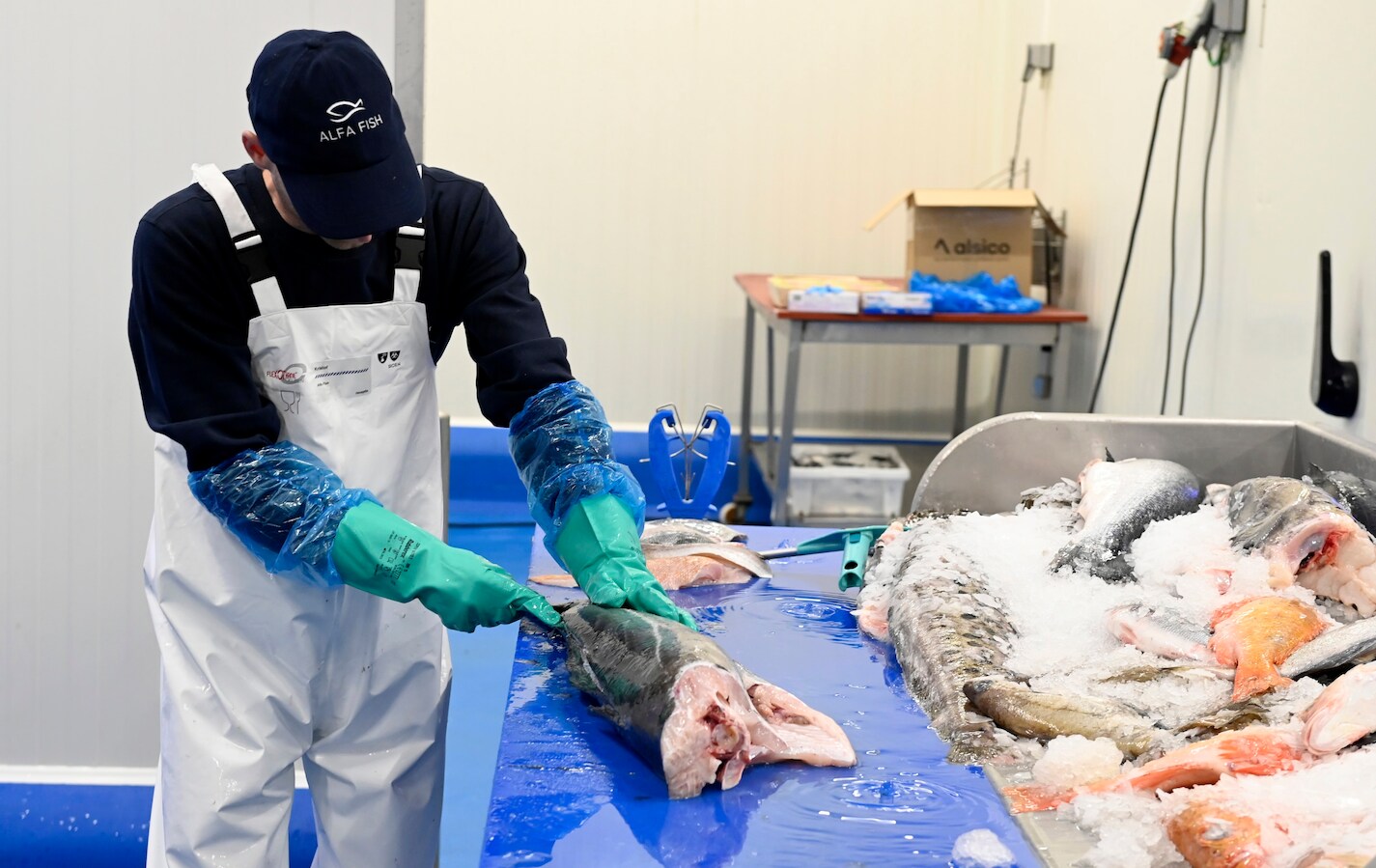 Alfa Fish opgenomen in ‘FT 1000 – Europe’s Fastest Growing Companies ...