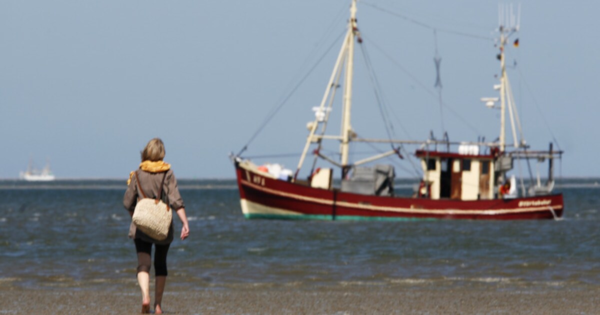 "Nieuw olieveld één van de grootste ooit in Noordzee" | Buitenland | HLN.be