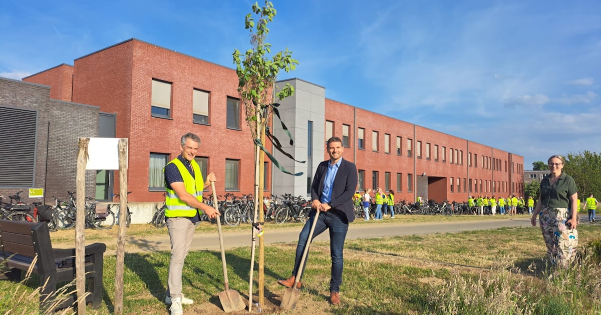 Vzw Sint-Annendael Grauwzusters gaat voortaan verder als Zorggroep ...