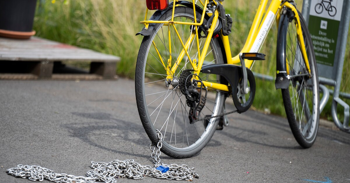 Werkloze (fiets-)dief krijgt jaar cel en mag cel verlaten | Menen | HLN.be