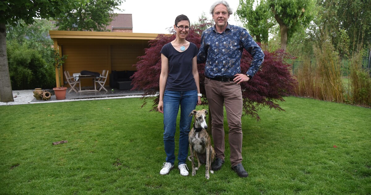 Grembergen Wandelt krijgt derde editie | Dendermonde | HLN.be