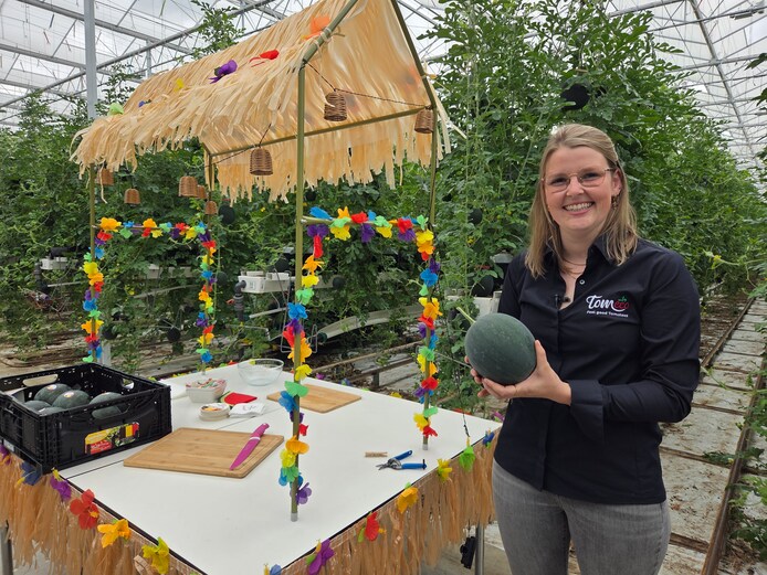 In de stad van de aardbeien oogsten ze ook 300.000 miniwatermeloenen ...
