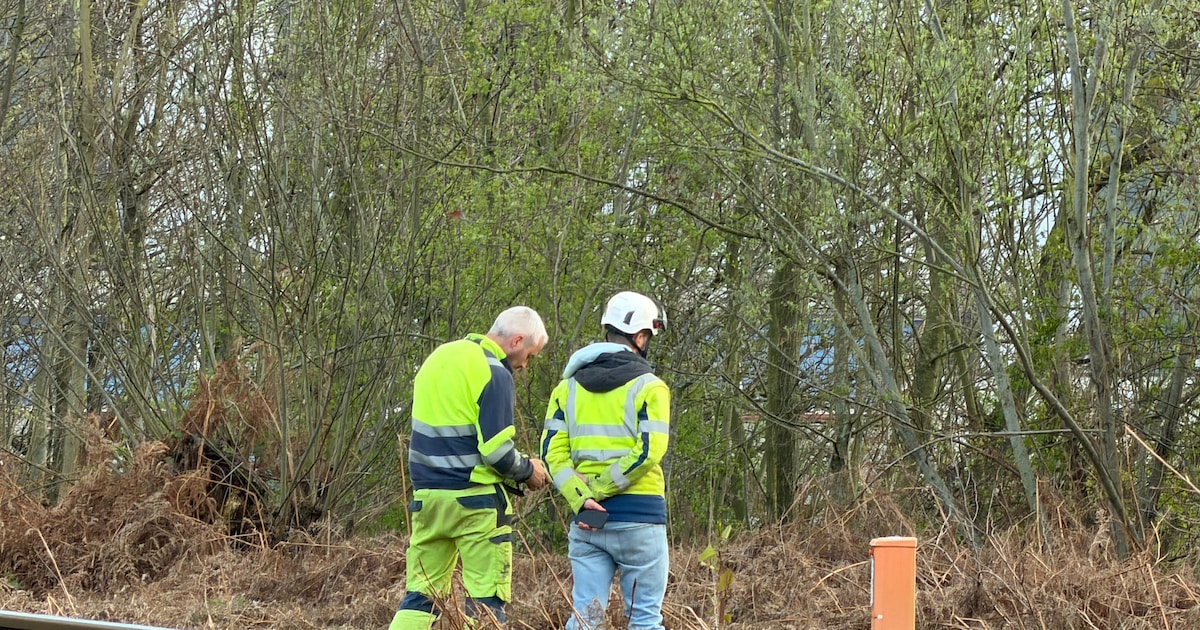 Treinverkeer in Niel hersteld na hinder door zinkgat | Regio | HLN.be