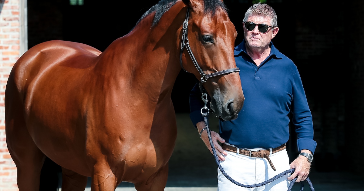 Onderzoek naar steenrijke paardenhandelaar die verkoopt aan Gates en ...