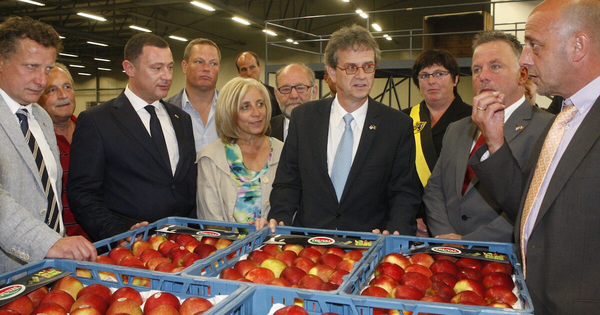 Belgische Fruitveiling breidt uit | Glabbeek | HLN.be