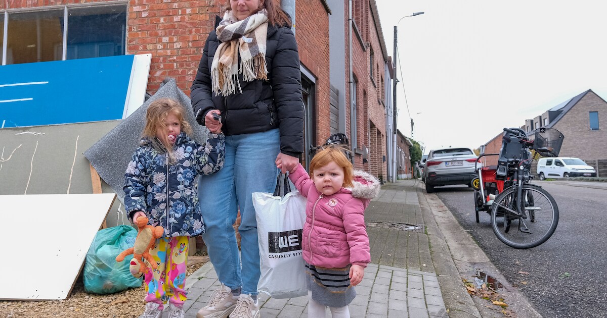 1,5 miljoen keer bedankt! Deze Zemstse verhalen werden het vaakst gelezen in 2022: van de ...