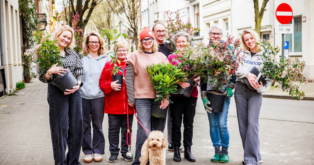 89 Antwerpse straten onder handen genomen tijdens Lenteklaar ...