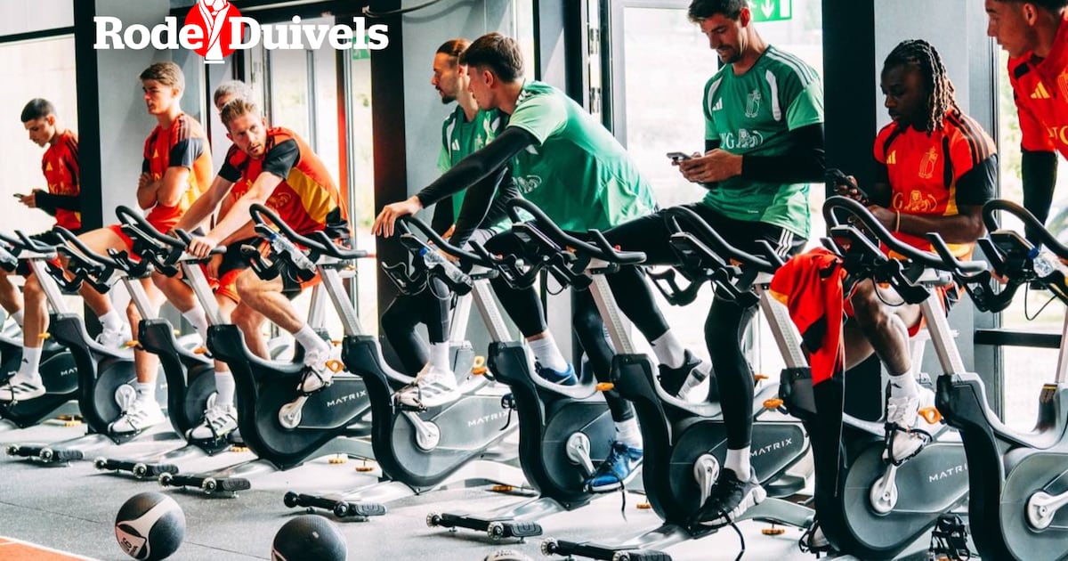 Rode Duivels doken nog fitness in, morgen spreken Vanaken en Moreira ...
