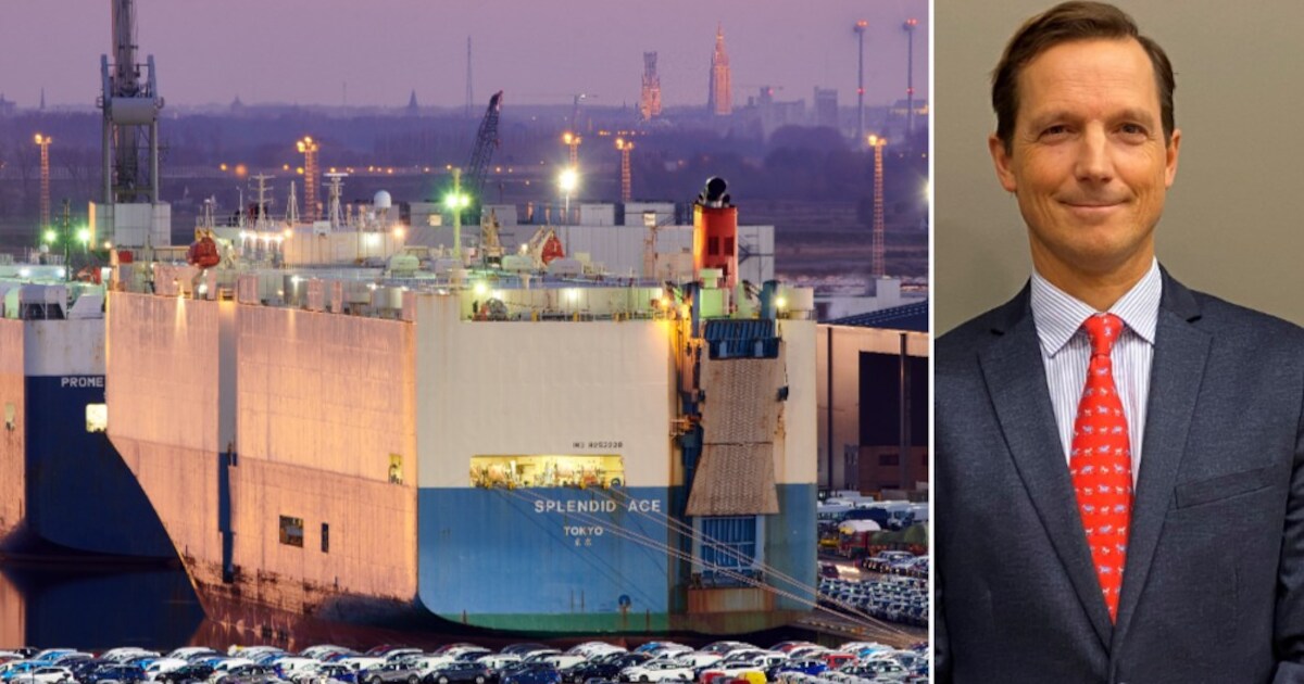Knokke-Heist vraagt havenbestuur Zeebrugge naar plan om hinder voor ...