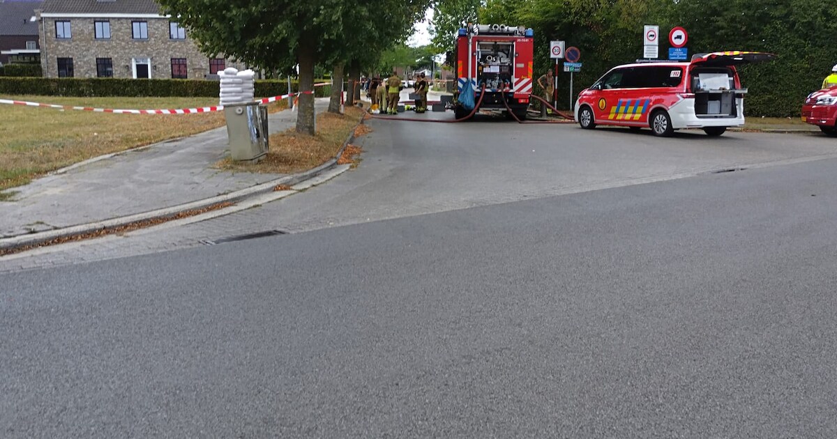 Containerpark Baarle en omgeving weer vrijgegeven | Baarle-Hertog | HLN.be