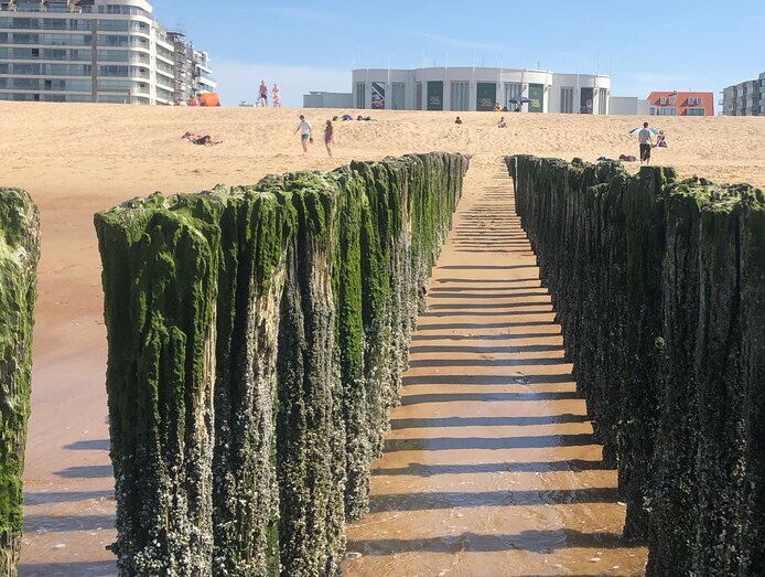 Waarom de iconische paaltjes op het strand van Knokke-Heist nu tóch niet weg moeten: “Maar een ...