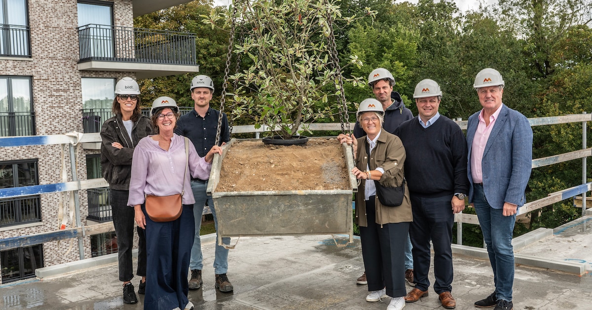 Schepen Muylle zet meiboom op dak van laatste appartement van Het Laere ...
