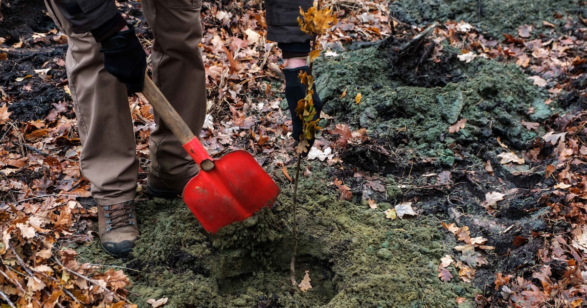 Doel van 4.000 hectare nieuw bos nog veraf, maar minister Demir ...