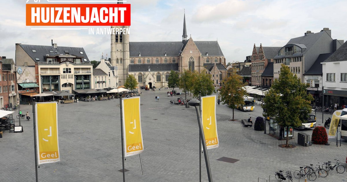 HUIZENJACHT. Geel, landelijke stad in de Kempen: “Recente woning met ...