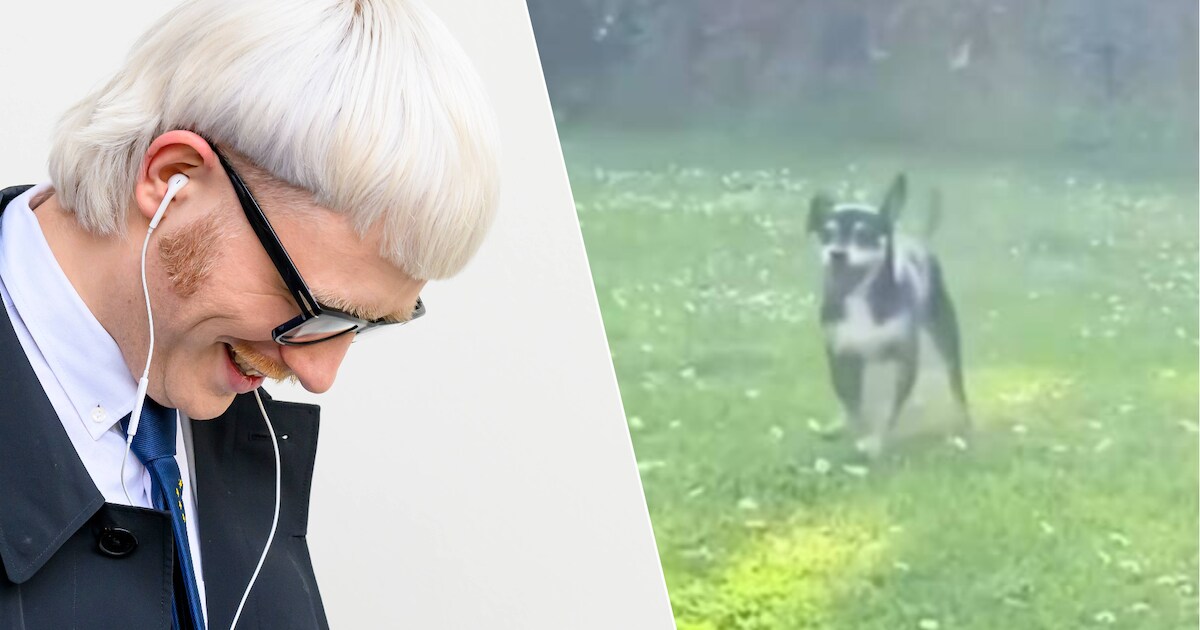 Joost Klein laat voor het eerst van zich horen en deelt bizar filmpje tijdens finale ...