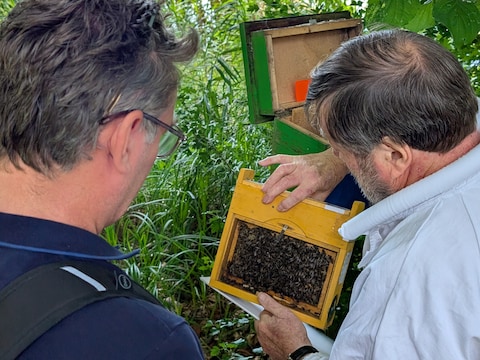 Exclusieve huwelijksreis naar Duits Waddeneiland werpt vruchten af: Zes ...
