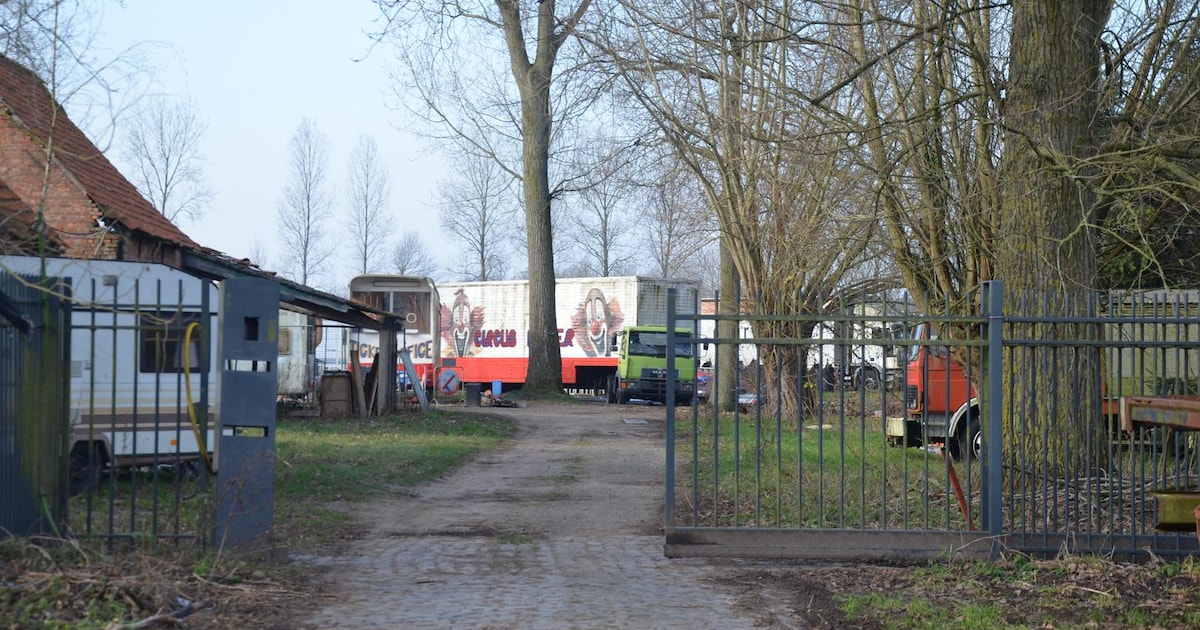 Circus Malter moet thuisbasis verlaten | Regio | HLN.be