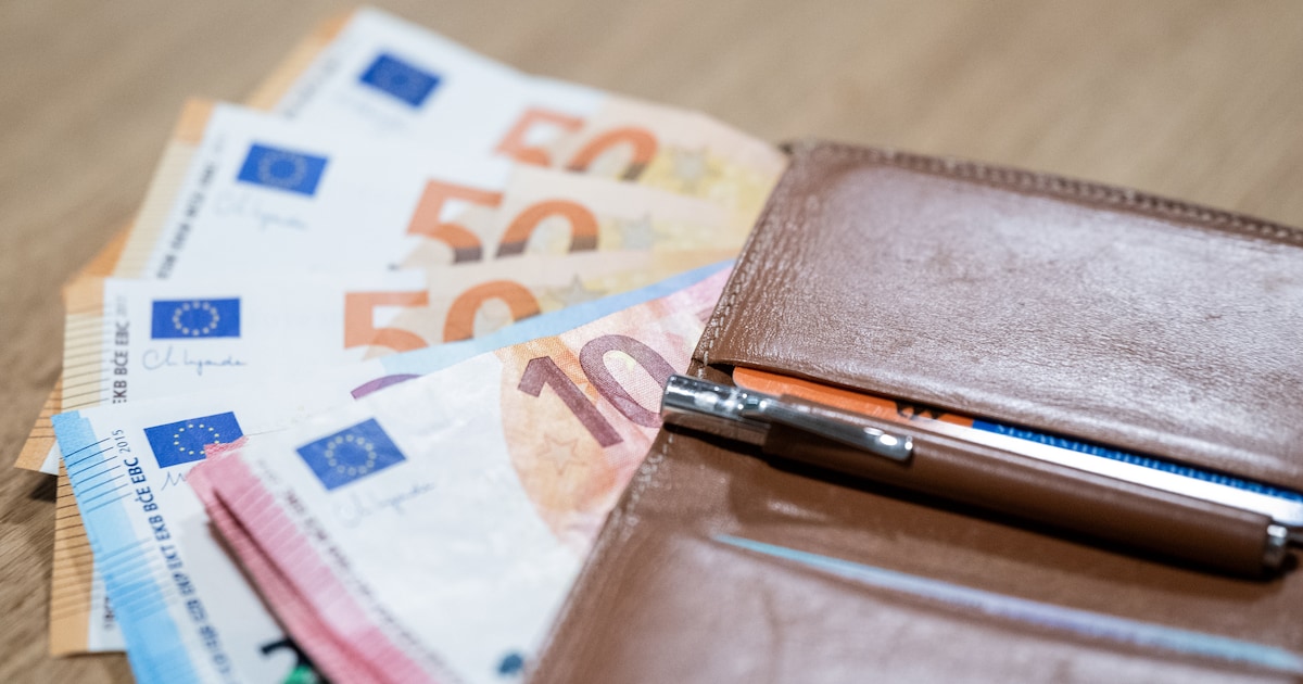 Werkende Vlaming had in 2024 gemiddeld netto 2.870 euro per maand ...