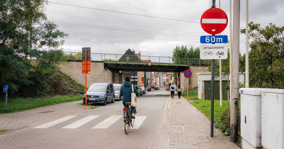 Nieuwe fietsstraat zal toekomstige fietsbrug over de Schelde met het ...