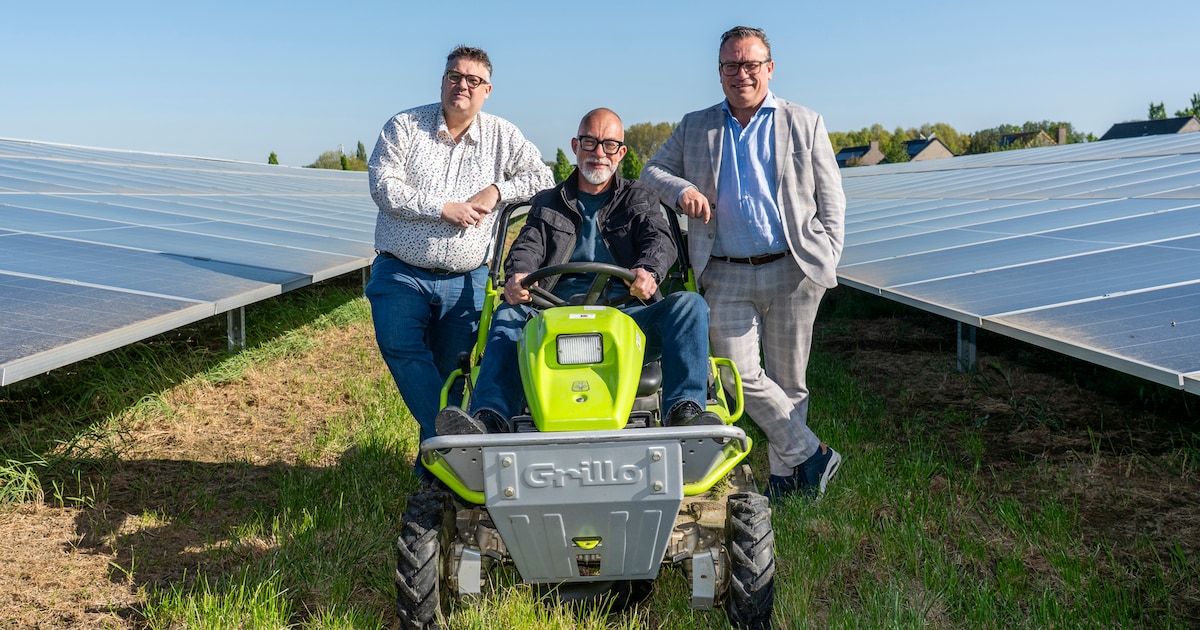 Zonnepark van !Mpuls Menen-Wervik wordt biologische hub: 11 kilo ...