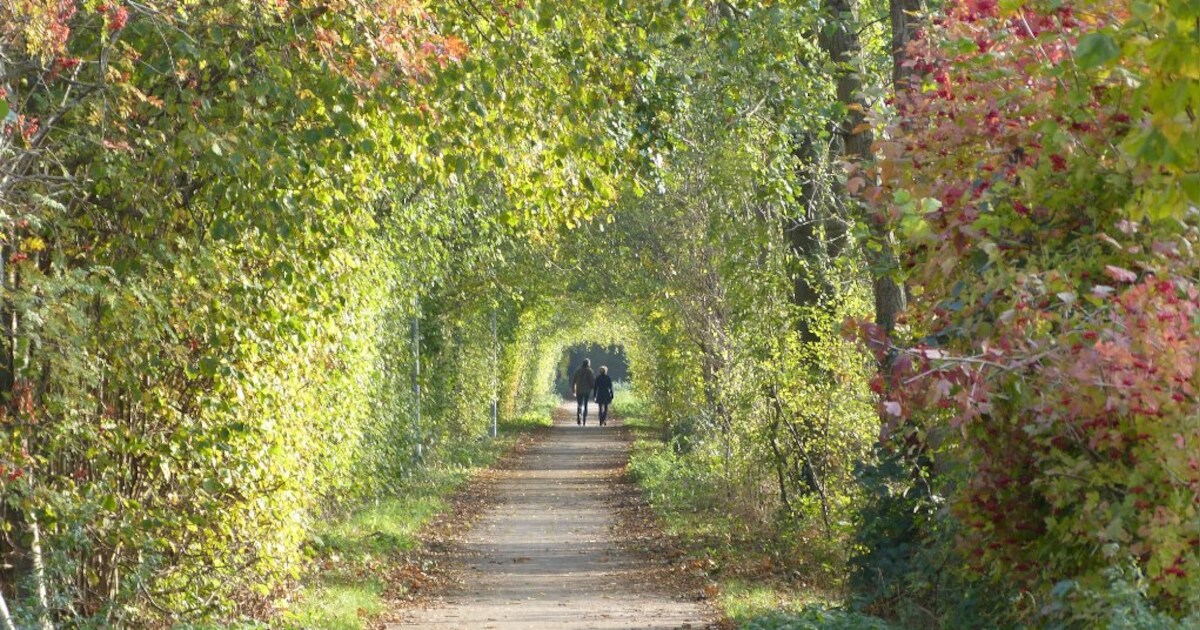 Trambaan tijdelijk afgesloten | Sint-Lievens-Houtem | HLN.be