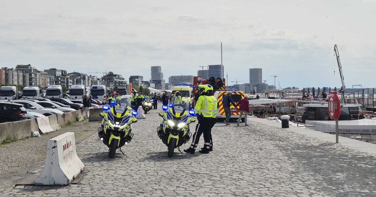 Man (81) in levensgevaar nadat hij in Schelde in Antwerpen valt ...