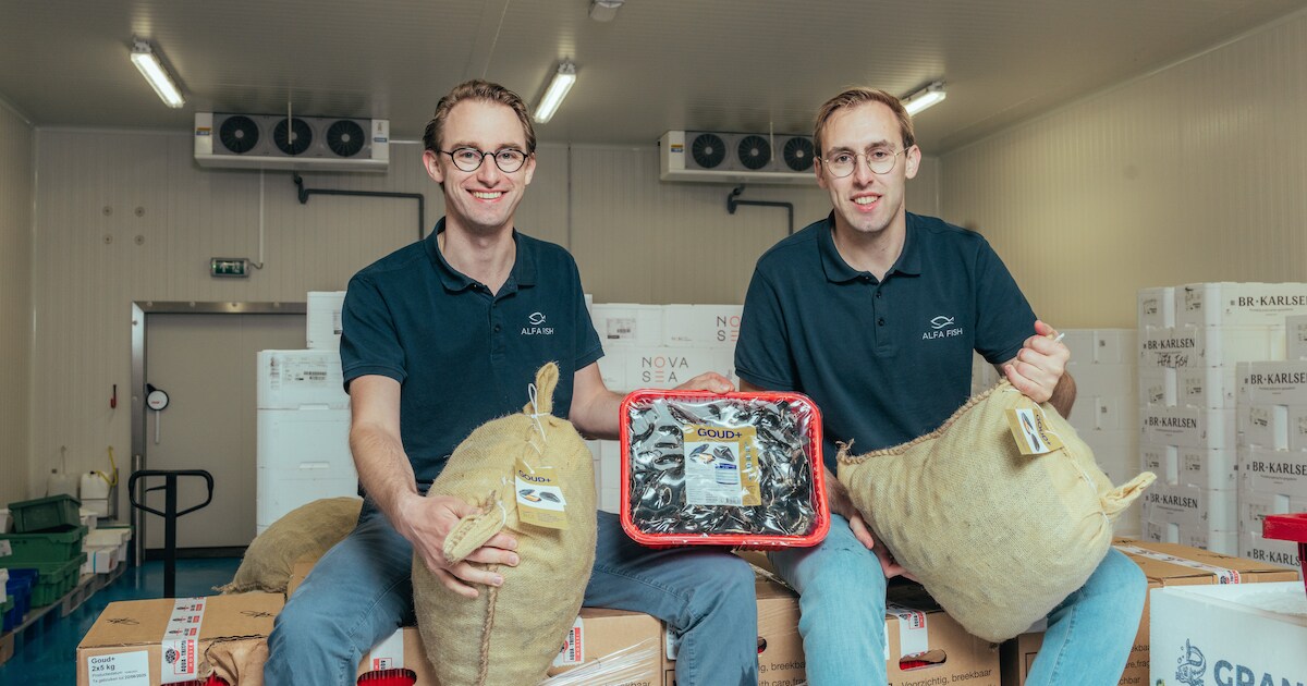 Broers Steven (35) en Christophe (37) ruilden bankenwereld in voor vis ...