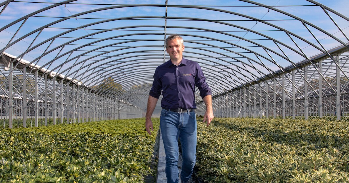 Sierplantenteler Leybaert lanceert ‘Rhodo Drive In’: “Kom je ...