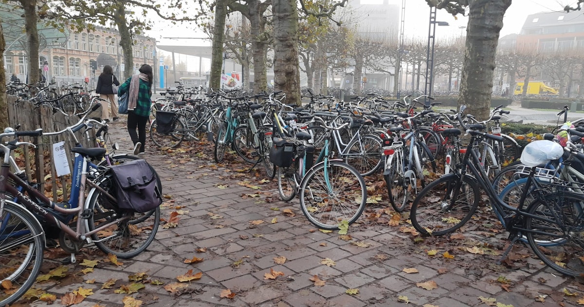 Fietsambassade gaat stallingen rond Sint-Pietersstation beheren ...