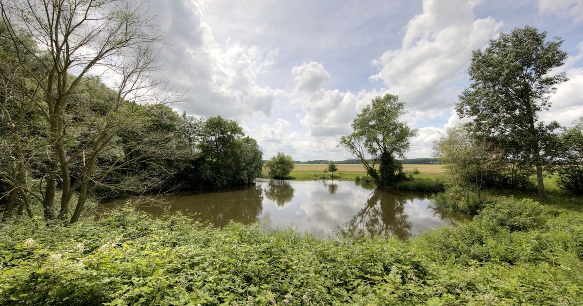 Tweede editie van Asseneedse Krekentocht op zondag 27 juli | Assenede ...