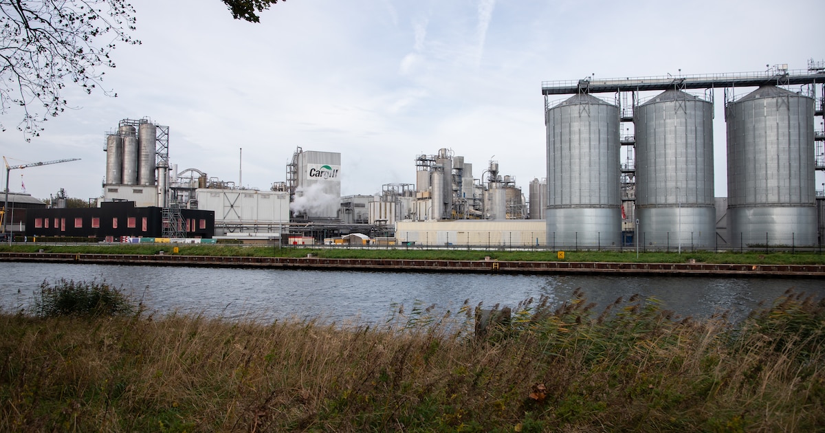 Ontslaggolf bij Cargill als een bom ingeslagen bij FNV: 'We zijn ...