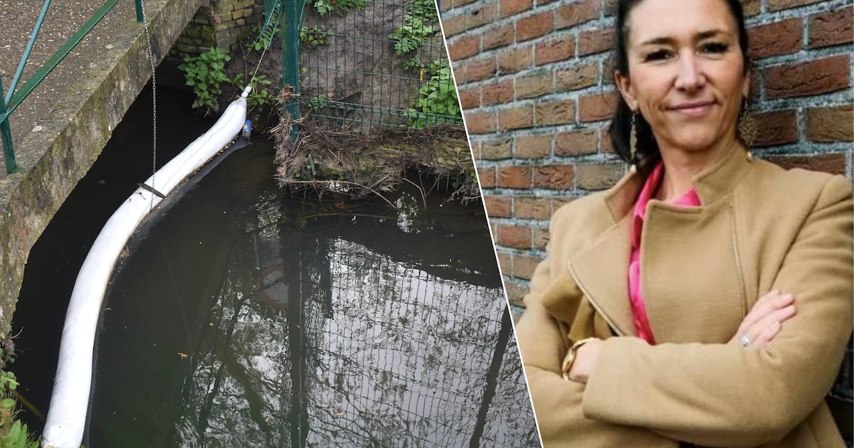 Londerzeel en Meise onderzoeken waar mazoutlek in de Molenbeek vandaan ...