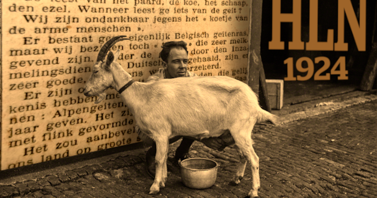 HLN 1924: “Wij zijn ondankbaar jegens het “koetje van de arme menschen ...