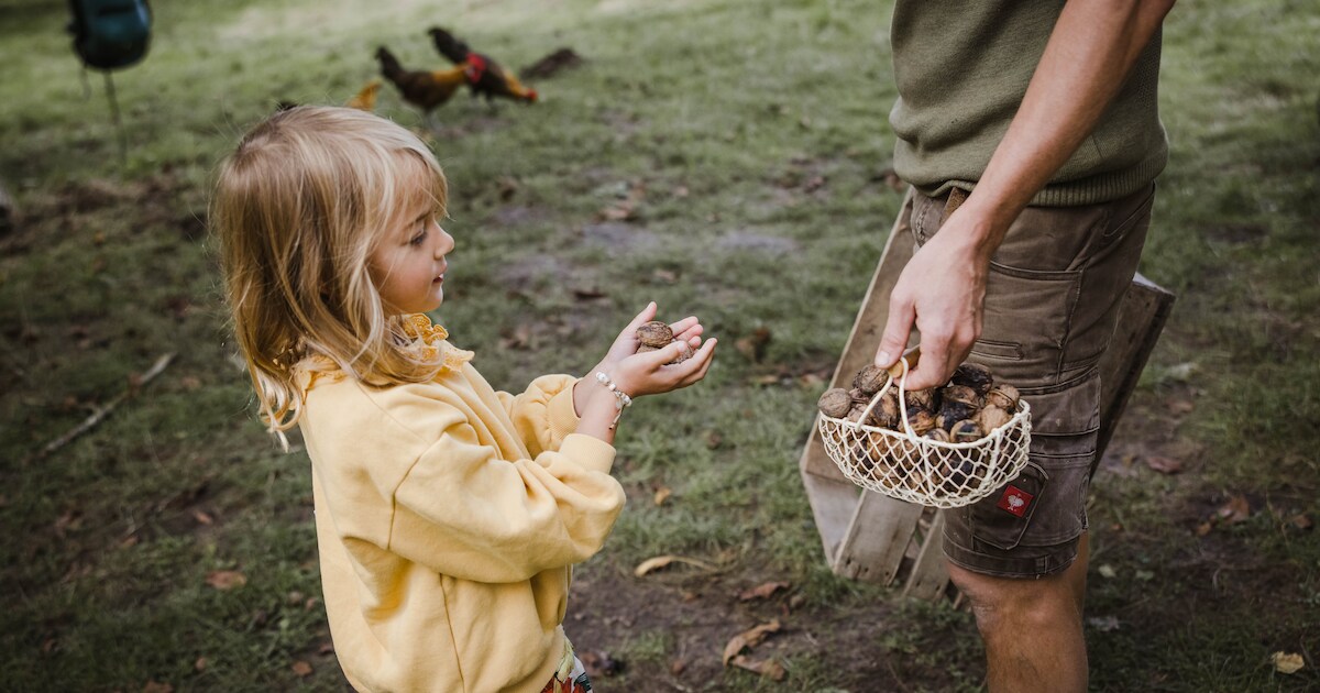 Provincie Antwerpen steunt het goede doel met 'De Warmste Kempen ...